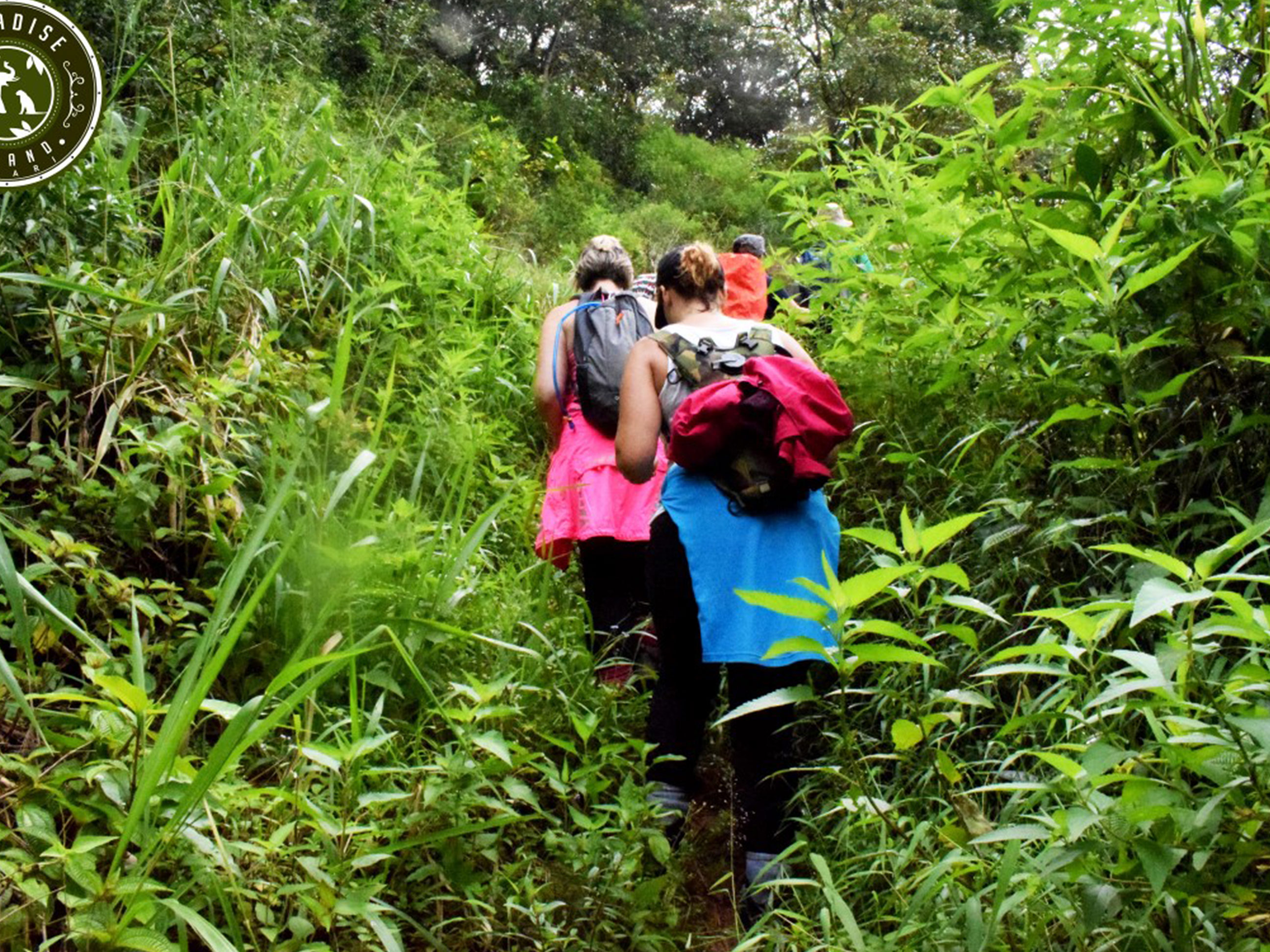Knuckles Range Trekking | Tours with SoulTrek Sri Lanka