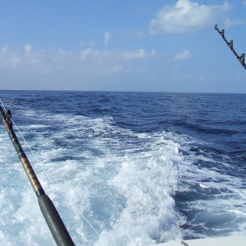 Camping Tents in Sri Lanka | Kodev Kalpitiya Tours by SoulTrek